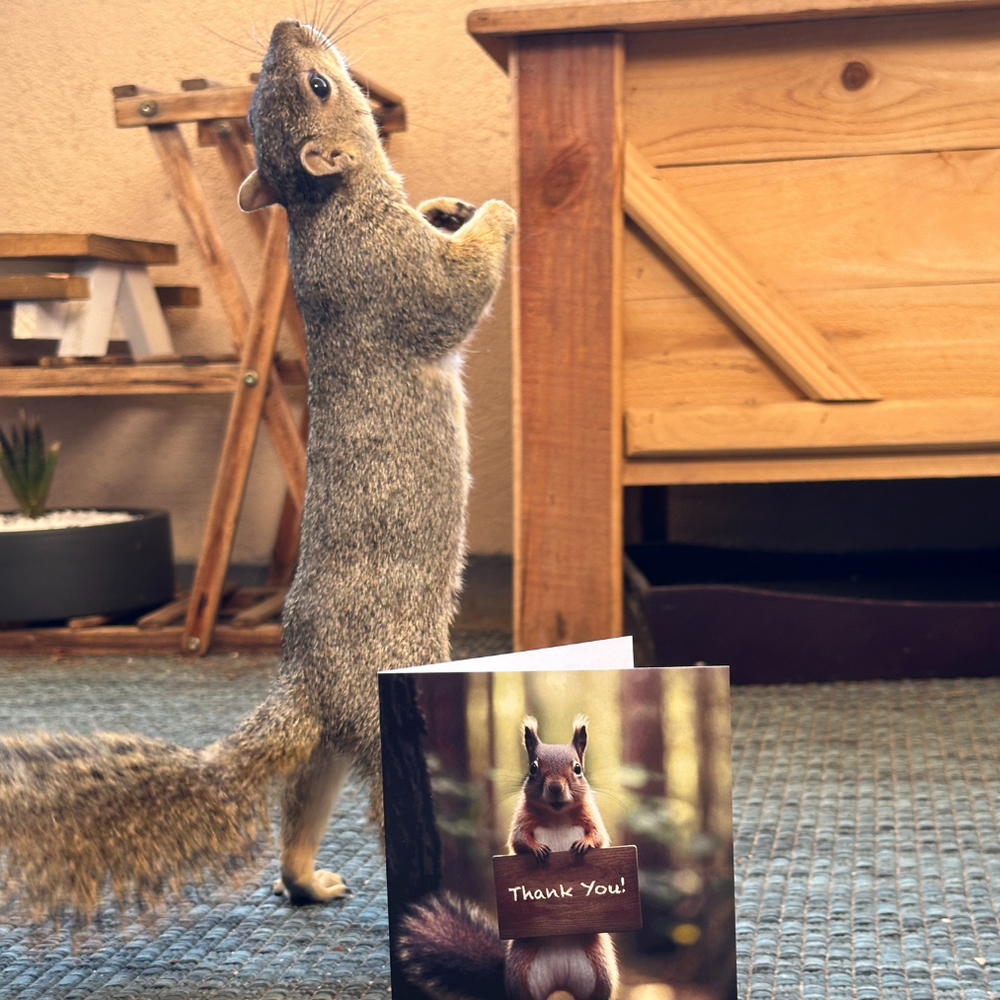 Squirrel Thank You | Augmented Reality Thank You Card